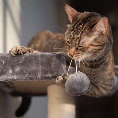 Using timezone-aware DateTime in Django